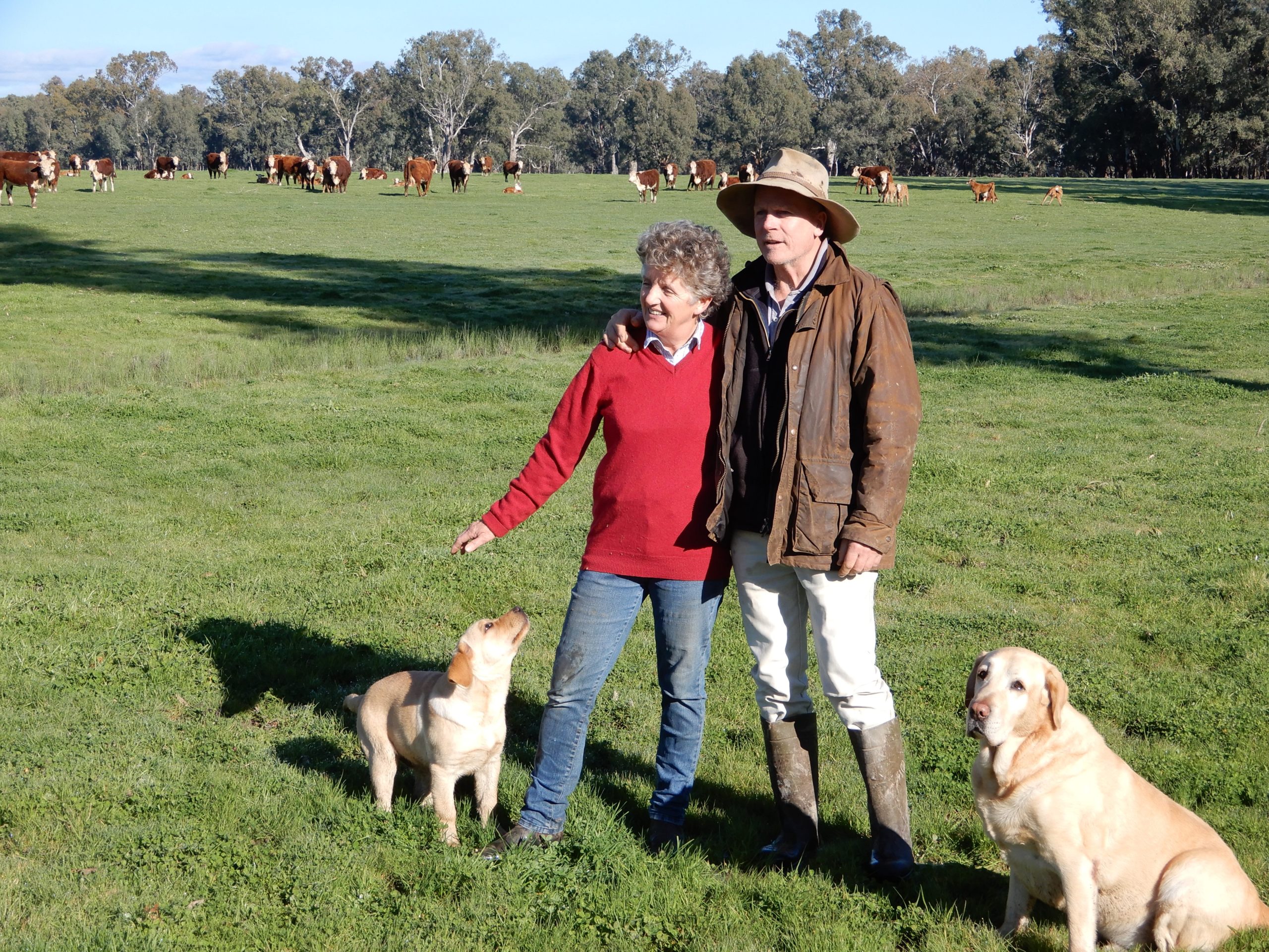 Smith Dosser | Accountants and Business Advisors in Benalla.